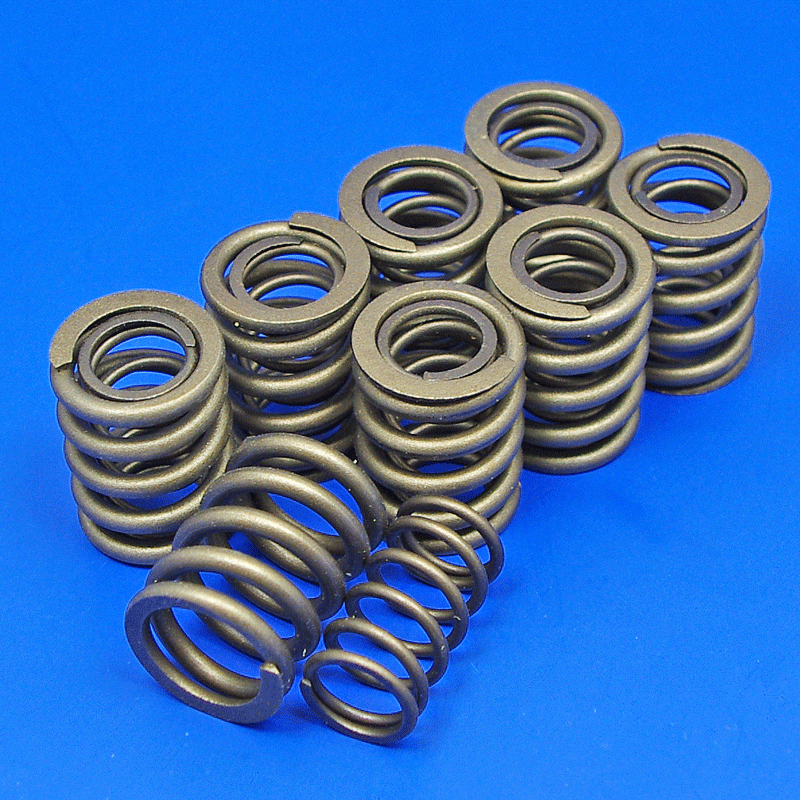 109E-6513-S: Performance valve spring set - Camshaft and Valves ...